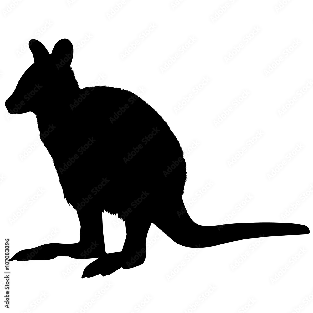 Wallaby Silhouette Vector Graphics Stock Vector | Adobe Stock