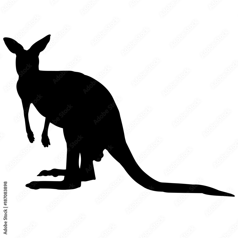 Wallaby Silhouette Vector Graphics Stock Vector Adobe Stock
