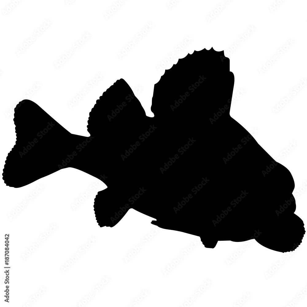 Yellow perch Silhouette Vector Graphics Stock Vector | Adobe Stock
