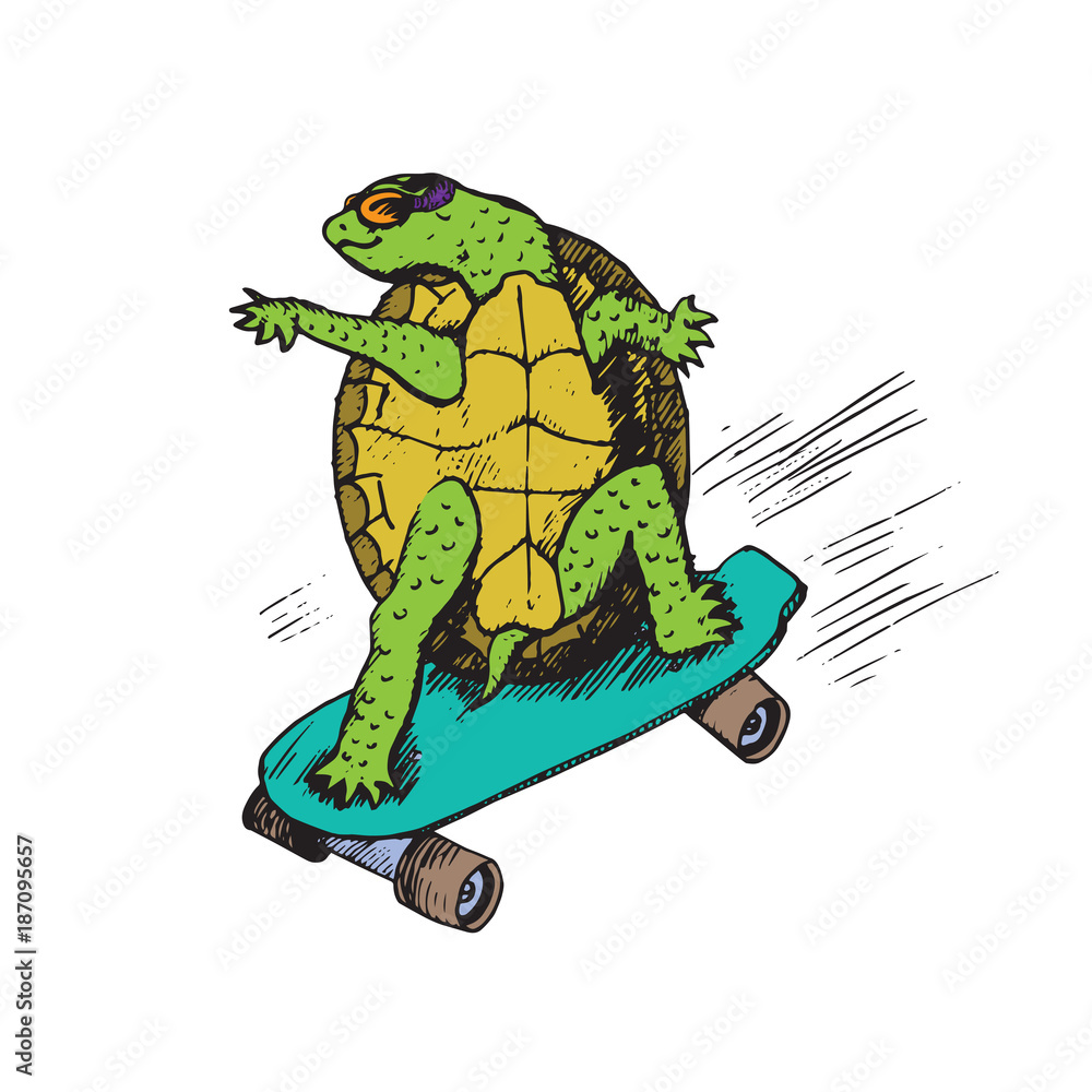 Cartoon character of turtle in glasses on green skateboard, hand drawn ...