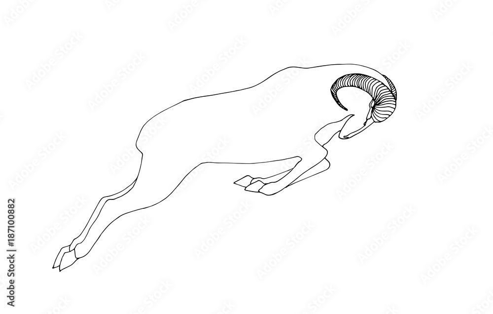 Ram jumping. Hand drawn vector doodle illustration. Black outline ...