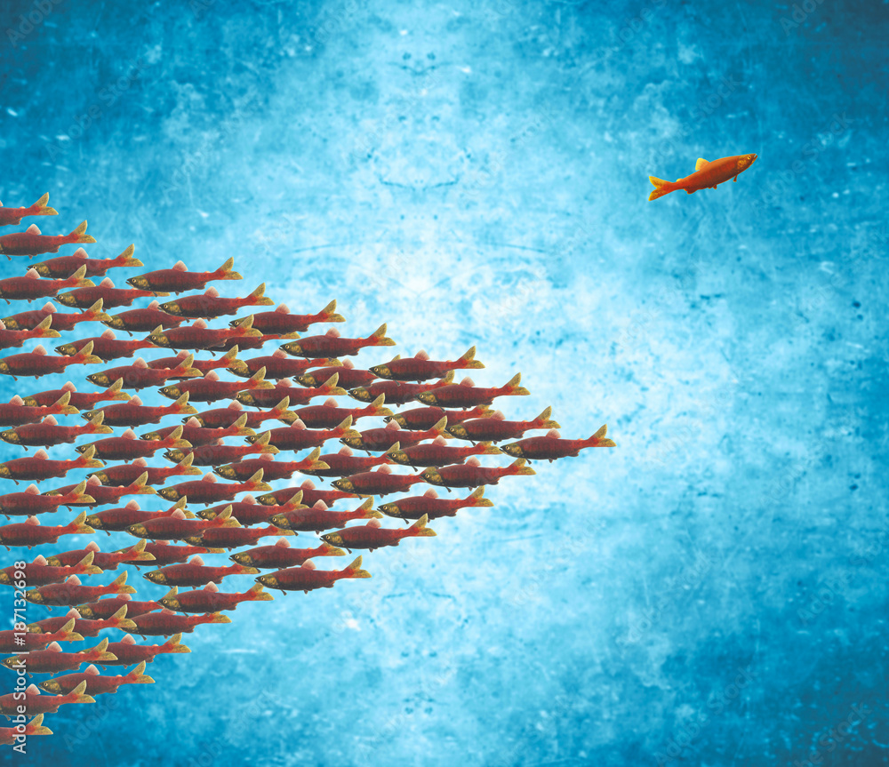 Foto de one fish swimming the opposite way the rest of the school is ...