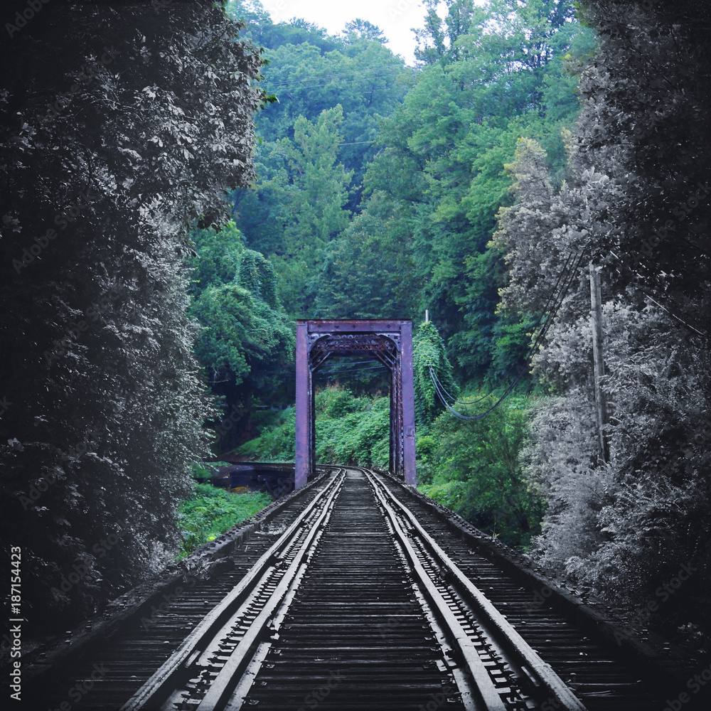 Artistic Nature Photography of a Vintage Train Tracks Bridge Fading in ...