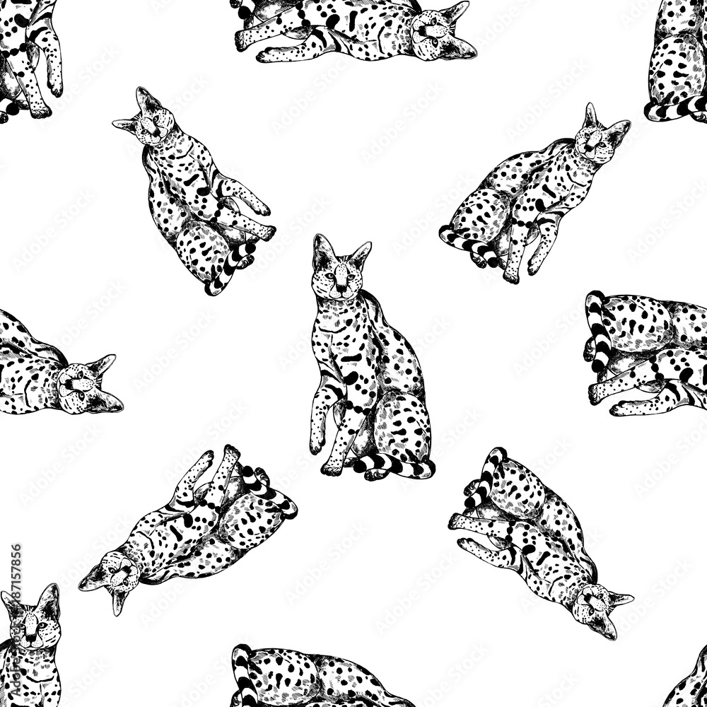 Seamless pattern of hand drawn sketch style serval. Vector illustration ...