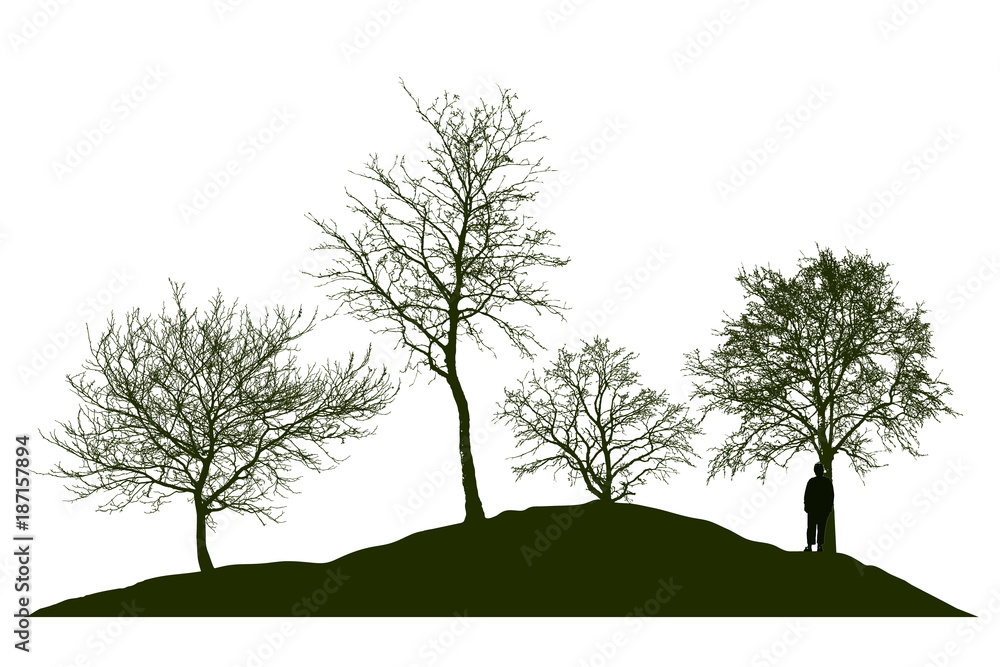 Realistic silhouette of trees.The silhouette of the girl under the tree ...