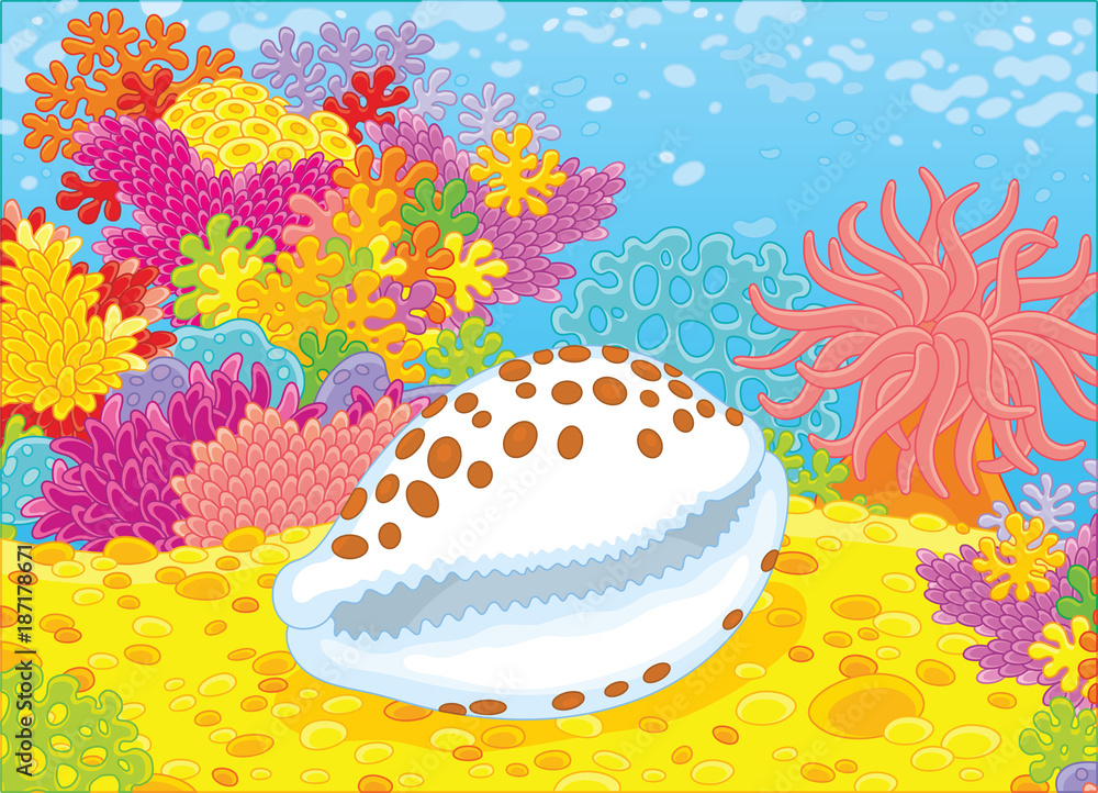 A spotted shell on a colorful coral reef in a tropical sea, a vector ...