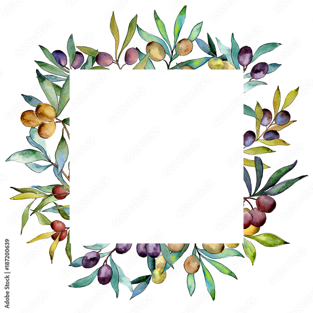 Olive tree frame in a watercolor style. Full name of the plant ...