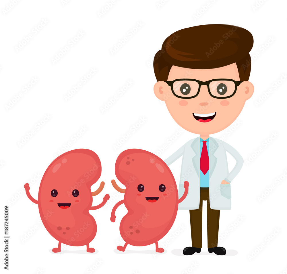 Cute funny smiling doctor and healthy happy kidneys Stock Vector ...