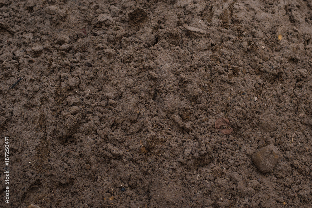 Sandy loam - soil background, texture Stock Photo | Adobe Stock