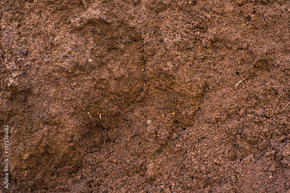Sandy loam - soil background, texture Stock Photo | Adobe Stock
