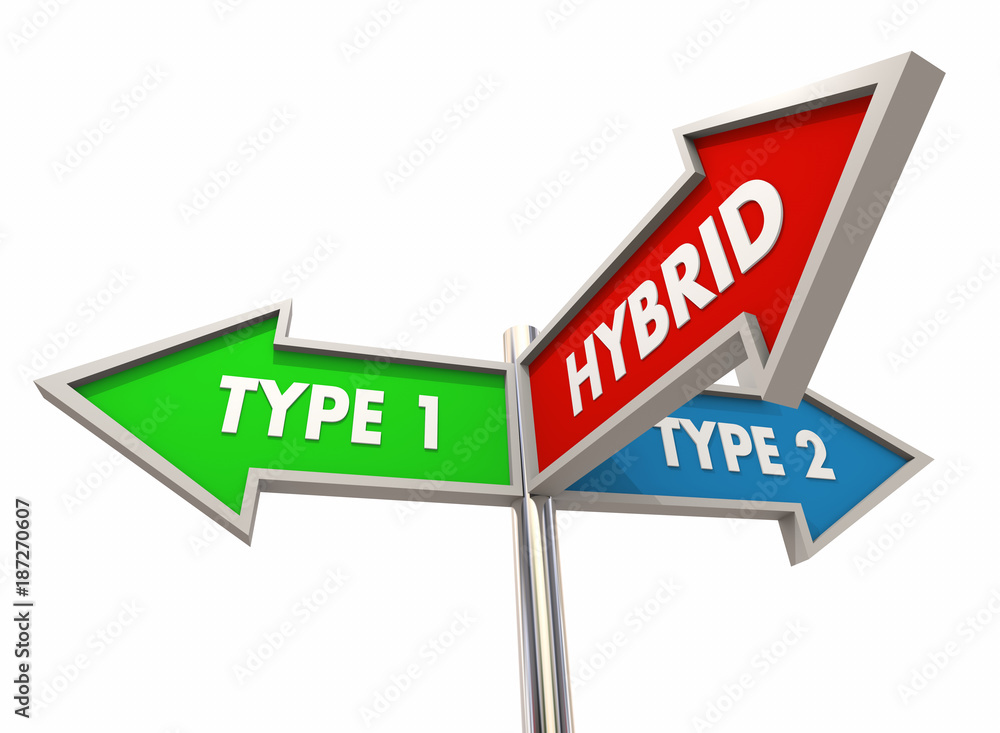 Hybrid Combining Two Types Between Combination Signs 3d Illustration ...