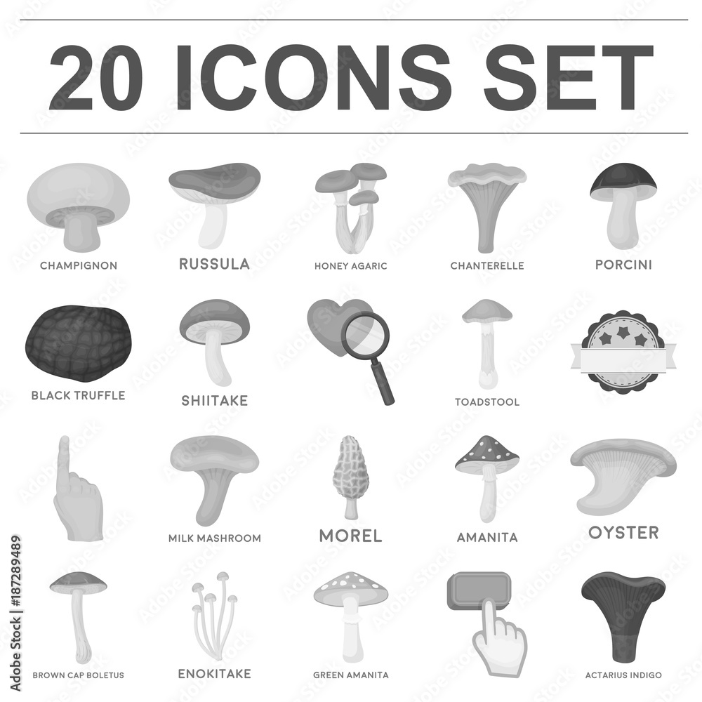 Poisonous and edible mushroom monochrome icons in set collection for ...