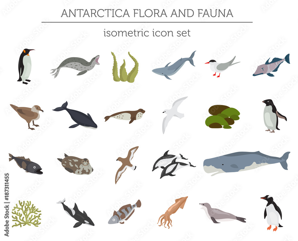 Isometric 3d Antarctica flora and fauna map elements. Animals, birds ...