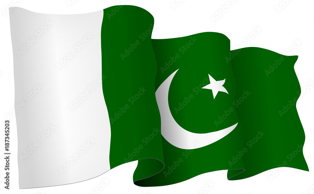 Pakistan Flag Waving Vector Illustration Stock Vector | Adobe Stock