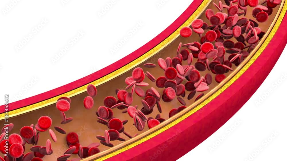 3D rendered Animation of Erythrocytes aka Hemoglobin Blood cells ...