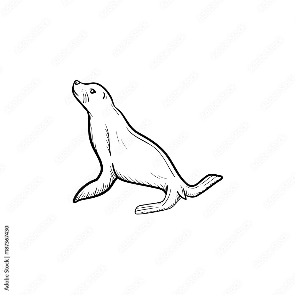 Vector hand drawn Fur seal outline doodle icon. Fur seal sketch ...