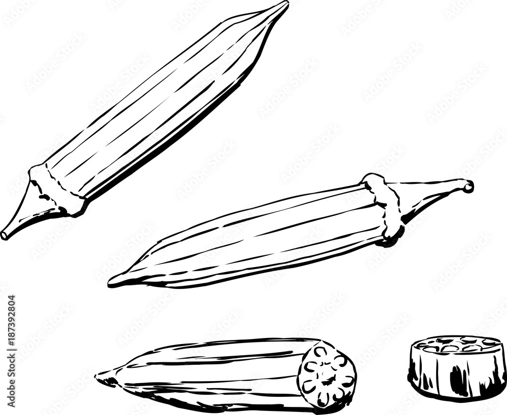 Okra Outline