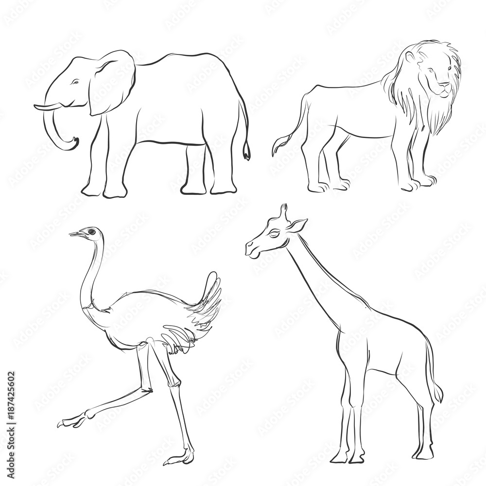 vector cartoon sketch of animals Stock Vector | Adobe Stock