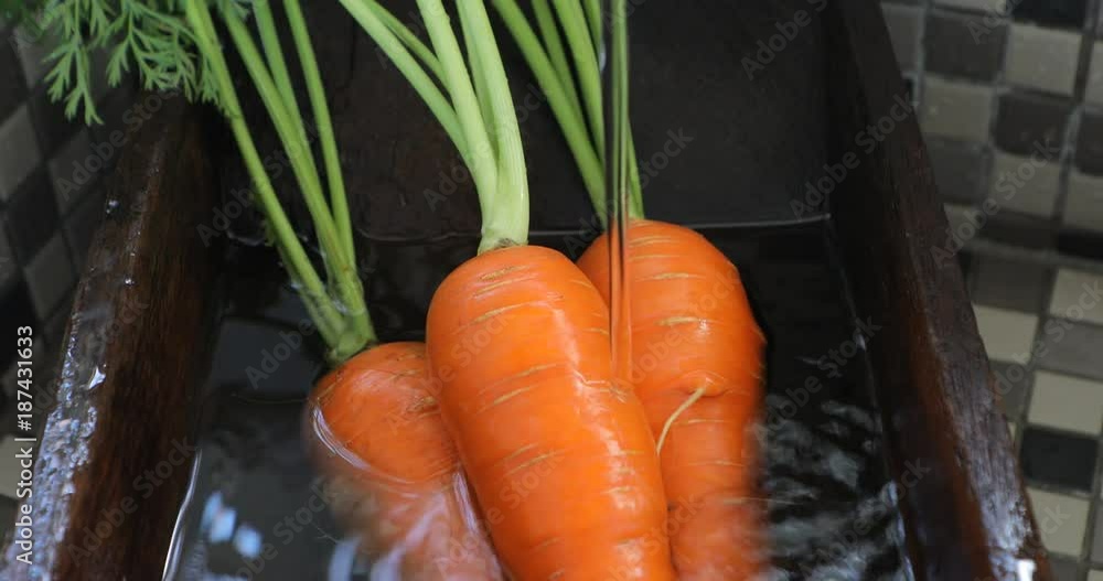 Vidéo Stock Just excavated carrots, clean in the kitchen sink, carrots ...