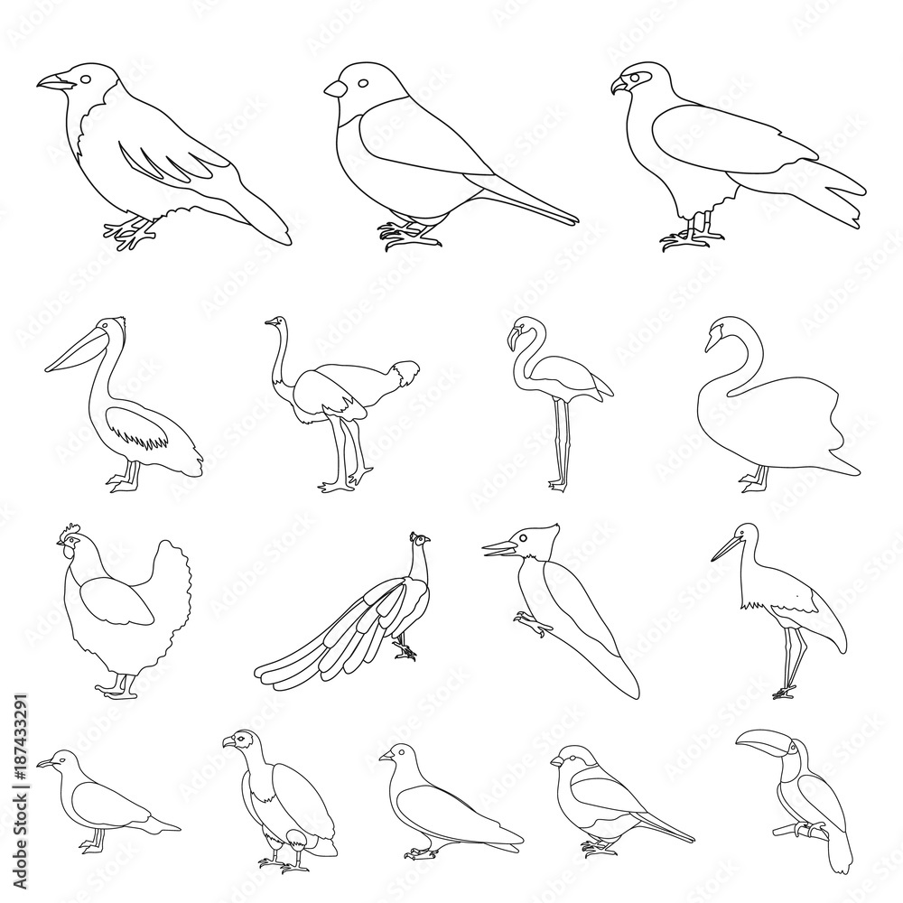 Types of birds outline icons in set collection for design. Home and ...