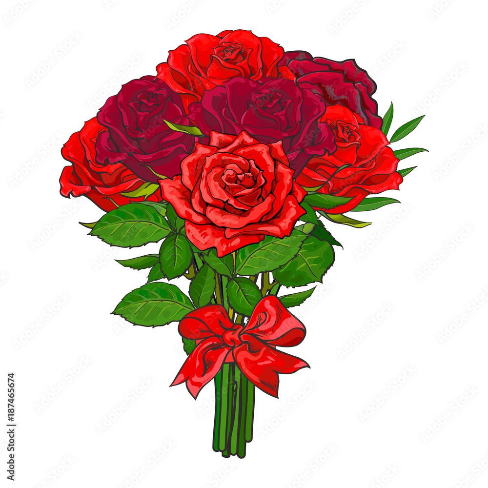 Bunch, bouquet of red rose flowers tied up with scarlet ribbon, sketch ...