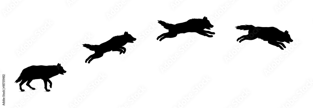 Wolf Jumping Drawing
