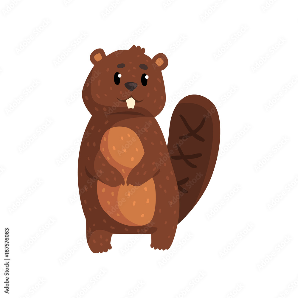 Cute brown beaver standing isolated on white. Cartoon forest rodent ...