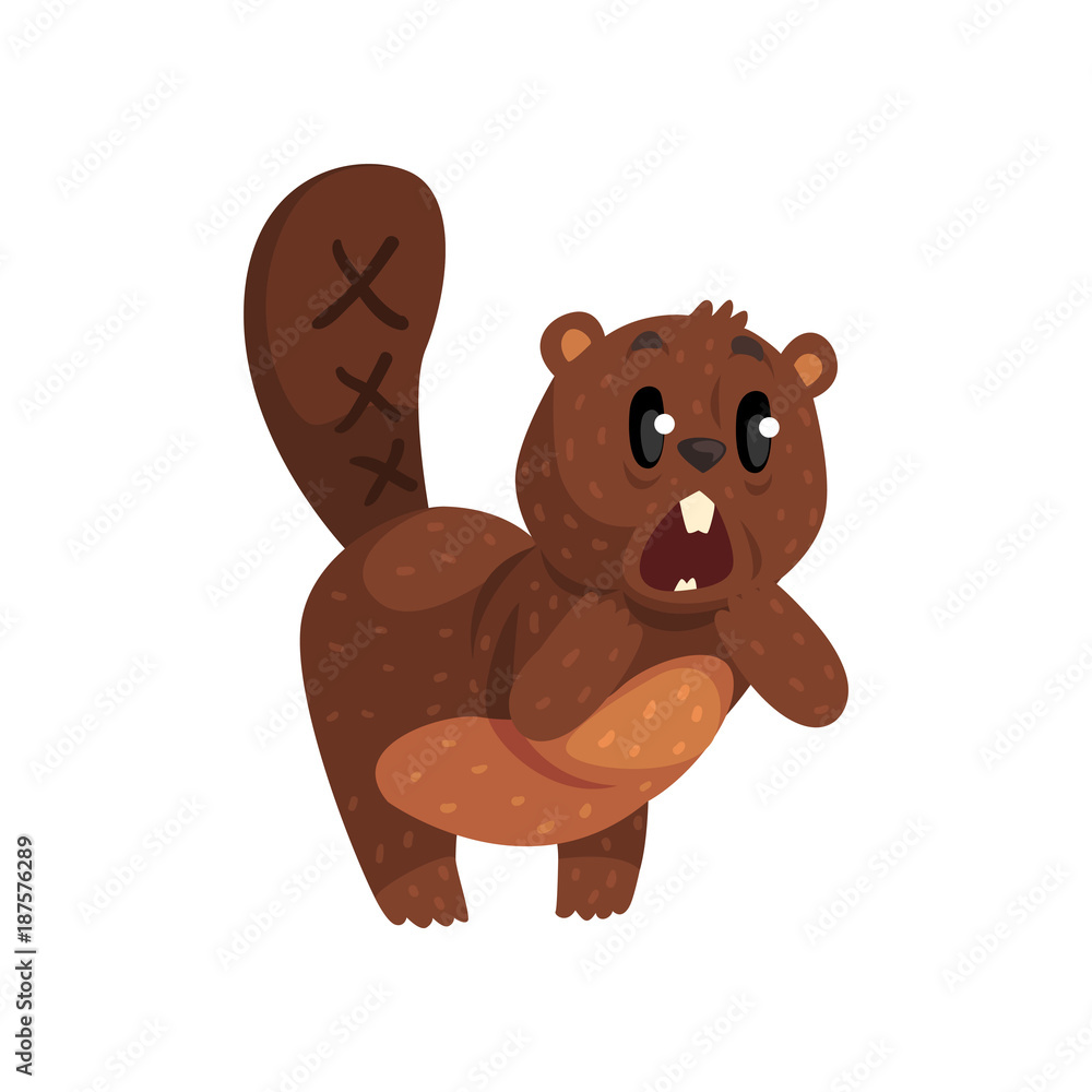 Shocked little beaver standing isolated on white. Cartoon wild animal ...