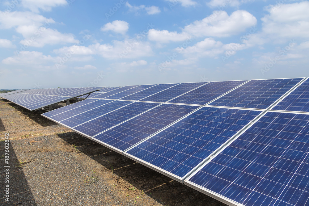 rows array of polycrystalline silicon solar cells in solar power plant ...