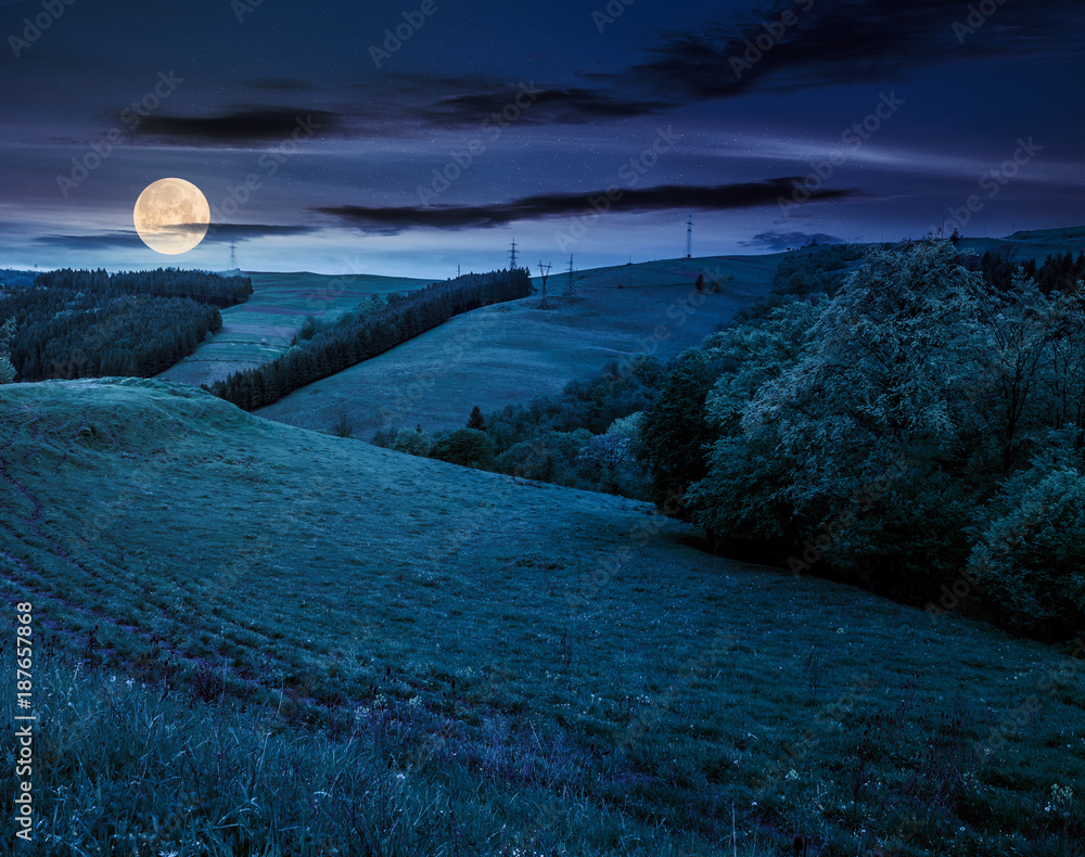 lovely countryside with grassy hills at night in full moon light ...