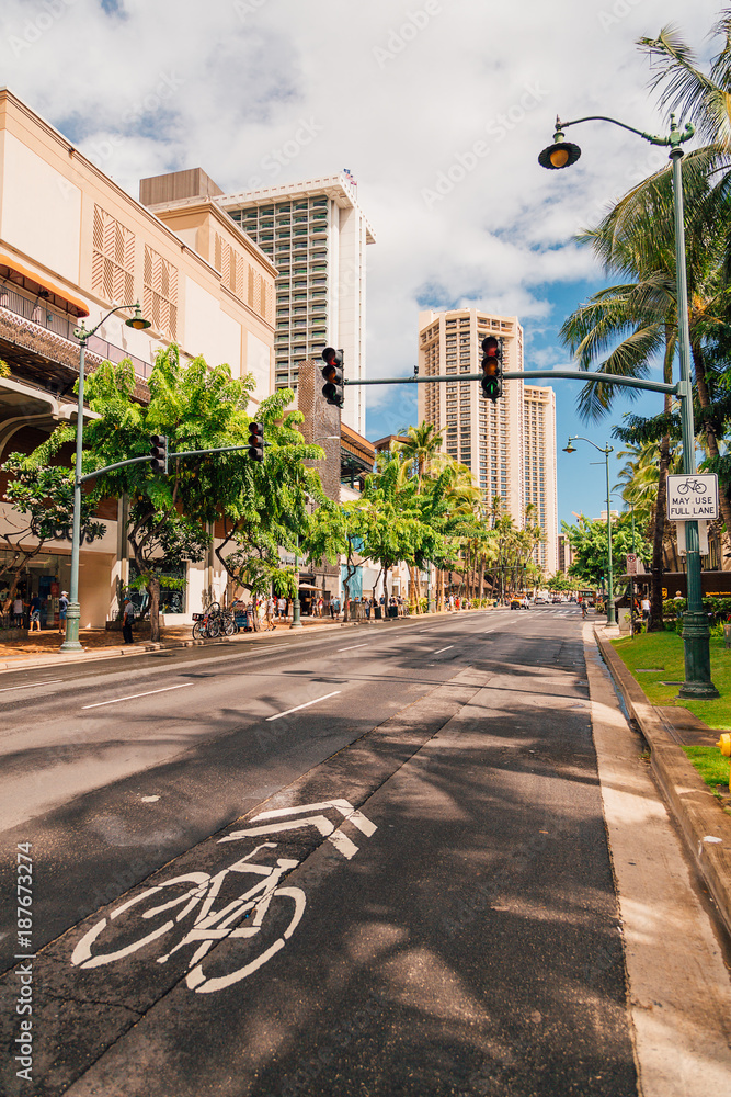 Beautiful sunny streets of Honolulu, Hawaii with many plants, bike lane ...