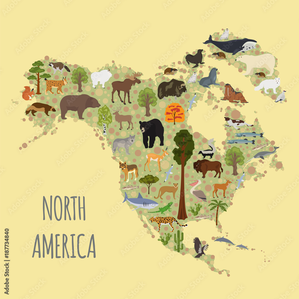 North America flora and fauna map, flat elements. Animals, birds and ...