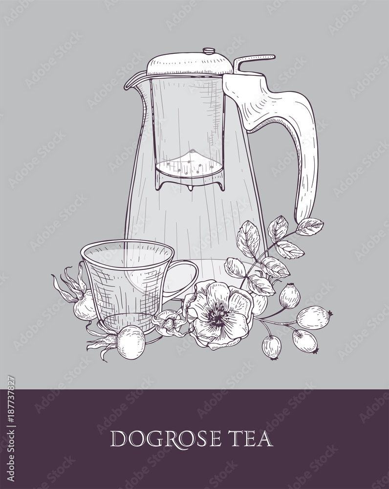 Elegant drawing of transparent pitcher with strainer, cup of tea and ...