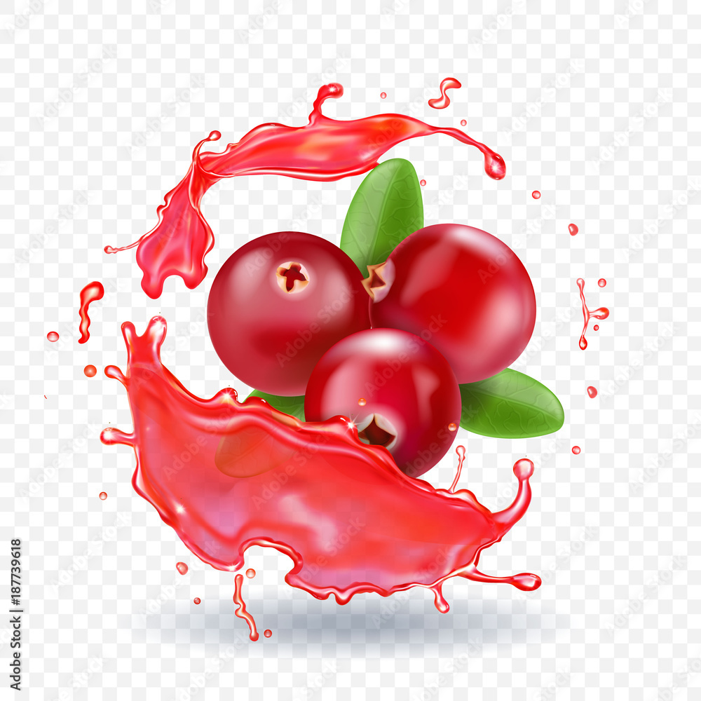 Cranberry in juice splash realistic vector illustration Stock Vector ...