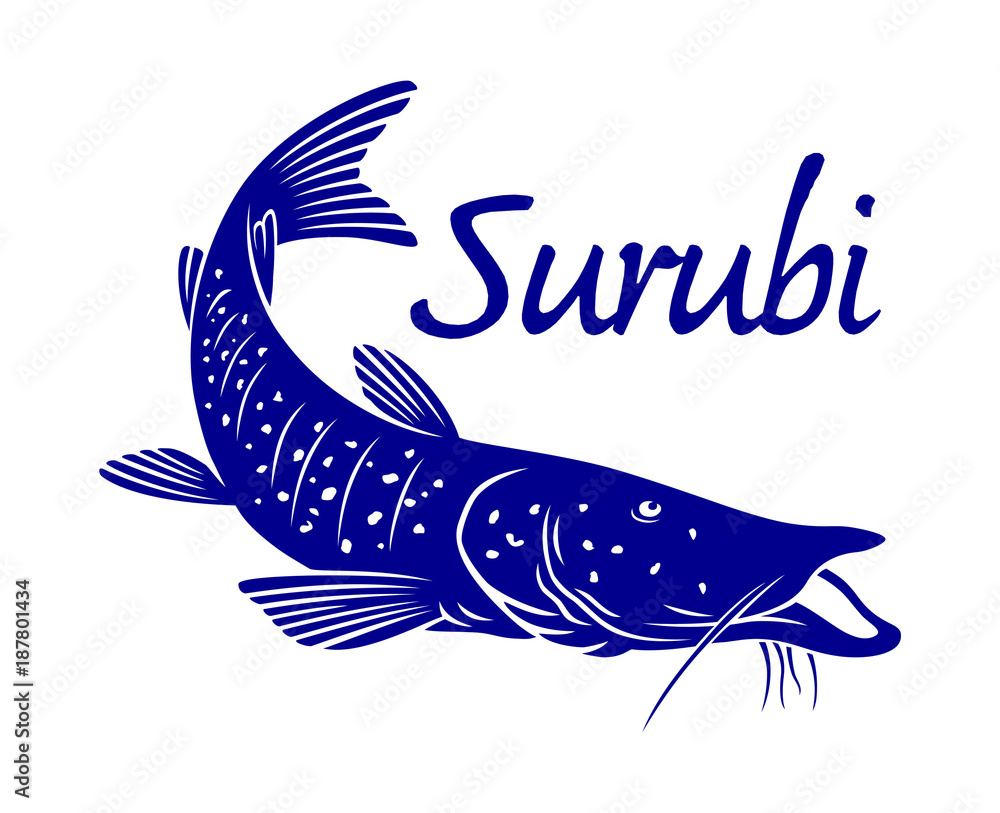 surubi fish vector de Stock | Adobe Stock