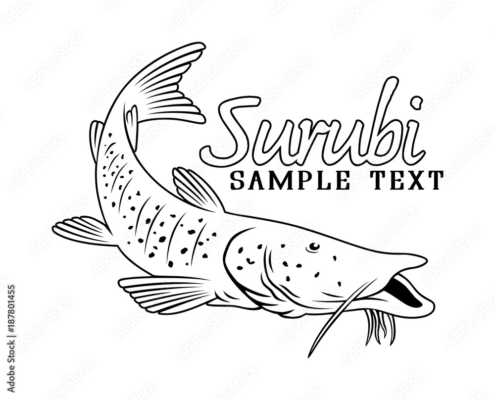 surubi fish vector de Stock | Adobe Stock