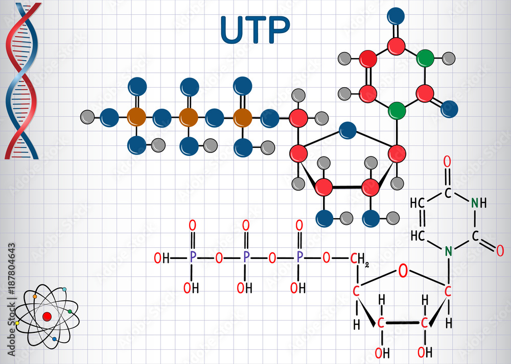 Uridine triphosphate (UTP) nucleotide molecule , is used for the ...