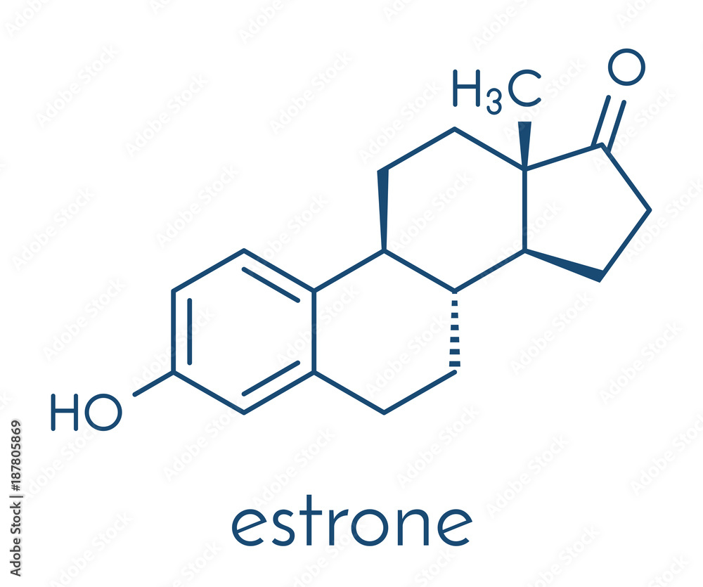 Estrone (oestrone) human estrogen hormone molecule. Skeletal formula ...