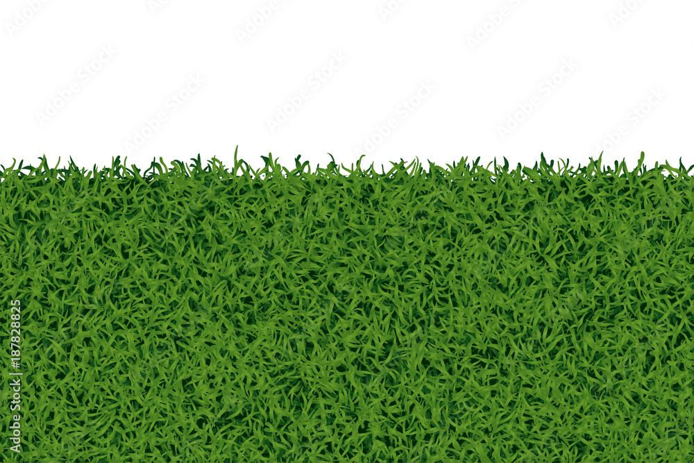 Grass ground background Stock Vector | Adobe Stock