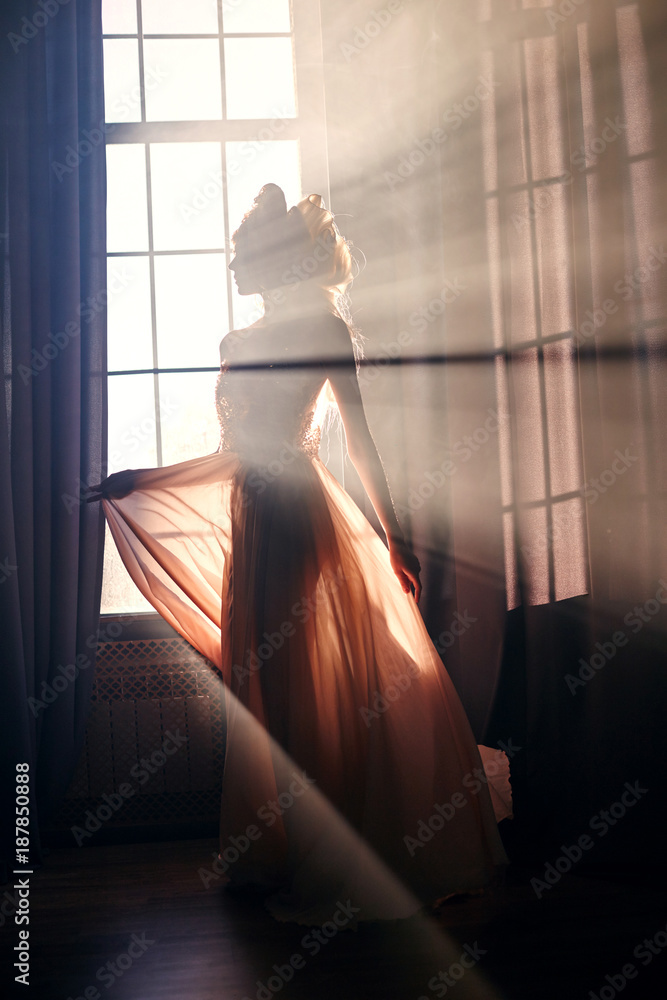 Silhouette of a mysterious fairy woman on the background of the window ...