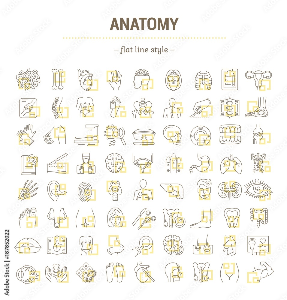 Vector graphic set. Icons in flat, contour, thin, minimal and linear ...