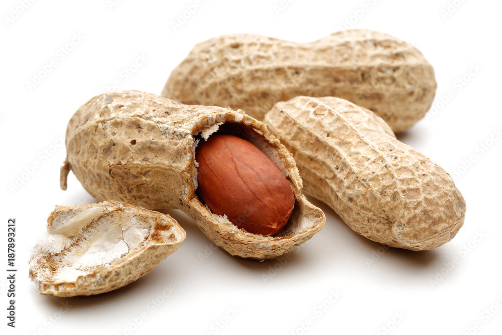 Peanuts Stock Photo | Adobe Stock