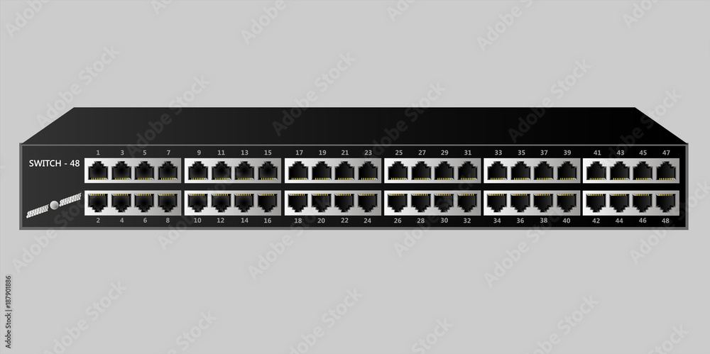 Ethernet switch with 48 ports. The name and emblem are invented. Vector ...