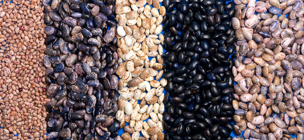 Big Five types of bean grain, bean pod, a lot of beans texture pattern ...