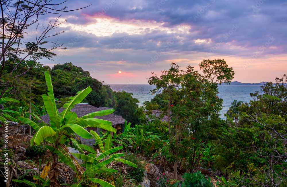 View of coastline on Nosy Komba Island lined with palm trees and boats ...