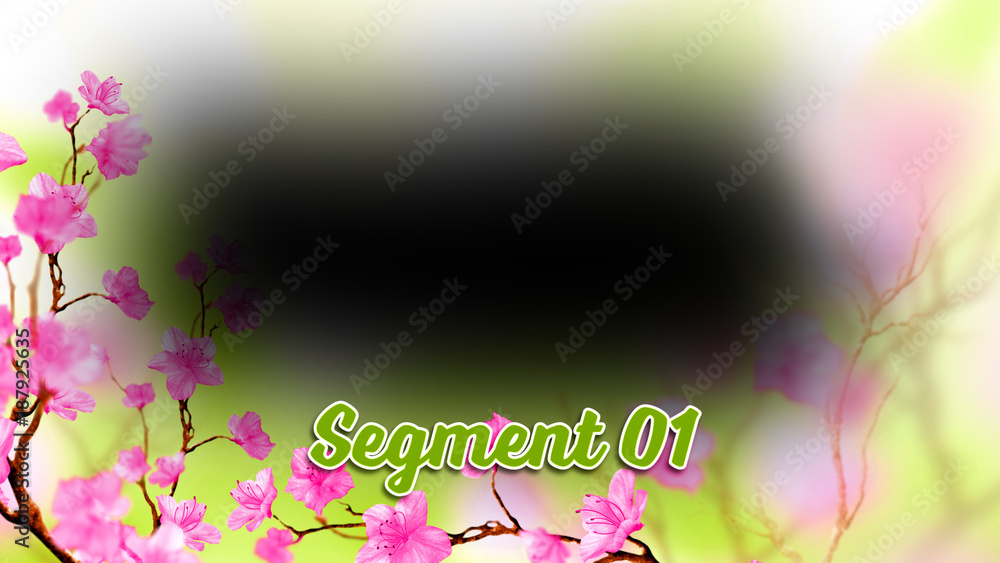 Pink Flowers Flythrough Overlay Stock Template | Adobe Stock