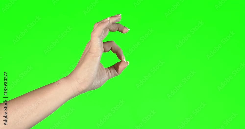 Female hand gestures on green screen: perfect Stock ビデオ | Adobe Stock