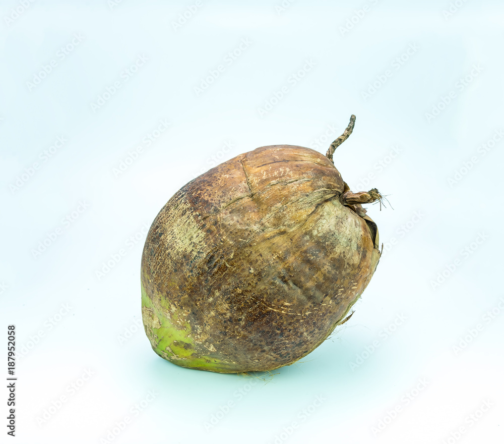 Dried coconut is ready to be processed. Stock Photo | Adobe Stock