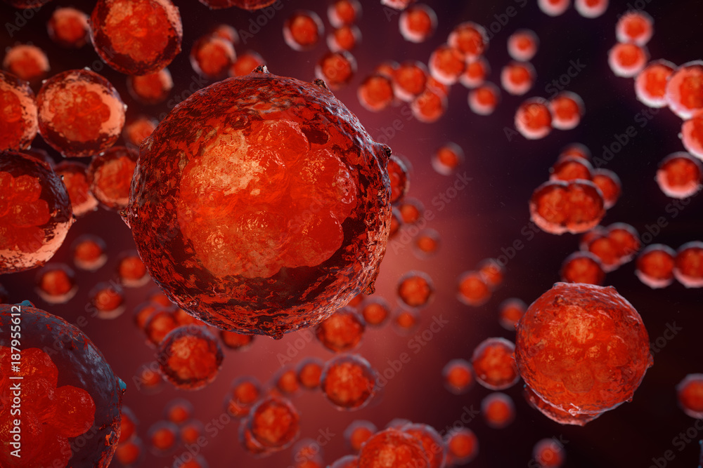3D illustration Early stage embryo. Morula is an early stage embryo ...