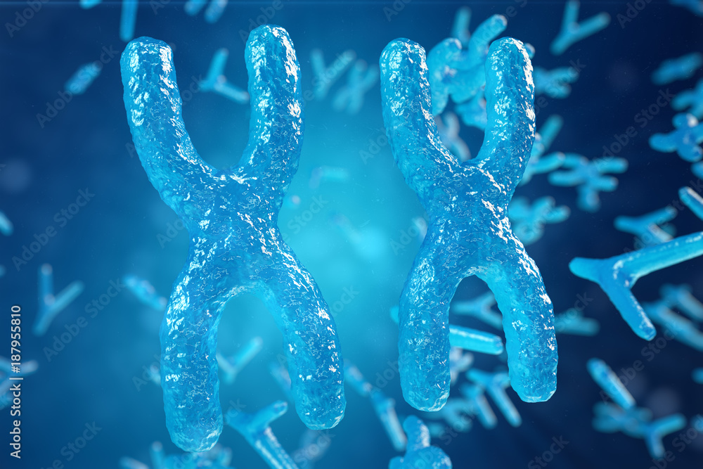 3D illustration XY-chromosomes as a concept for human biology medical ...